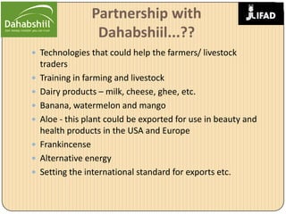 Dahabshiil Presentation | PPTX