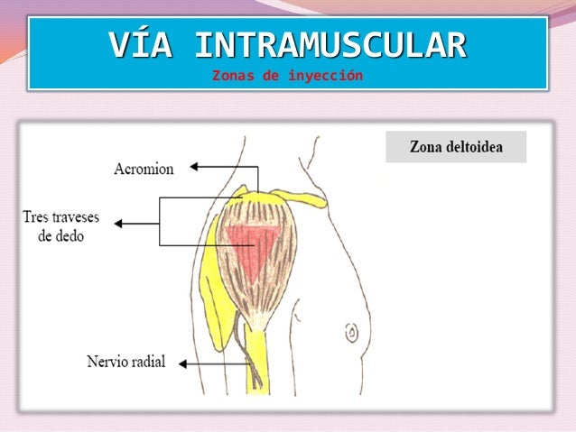 viasubcutaneaeintramuscular