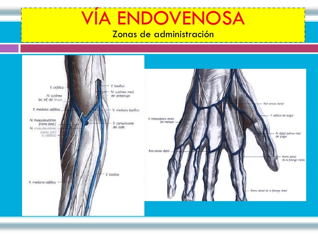 2011 3 via endovenosa - venoclisis