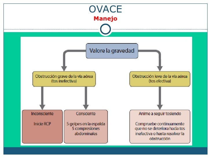 2011 clase sem. 6 ovace