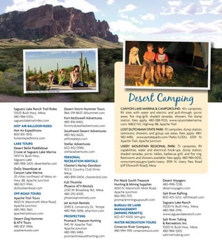 2011 Mesa Pocket Guide To The Sonoran Desert | PDF