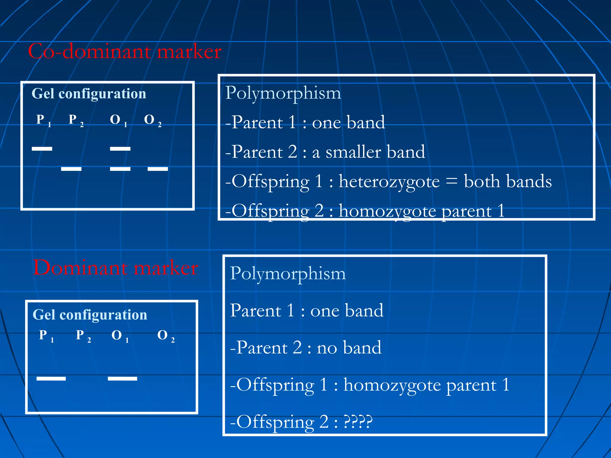 Molecular markers | PPT