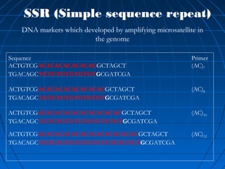 Molecular markers | PPT