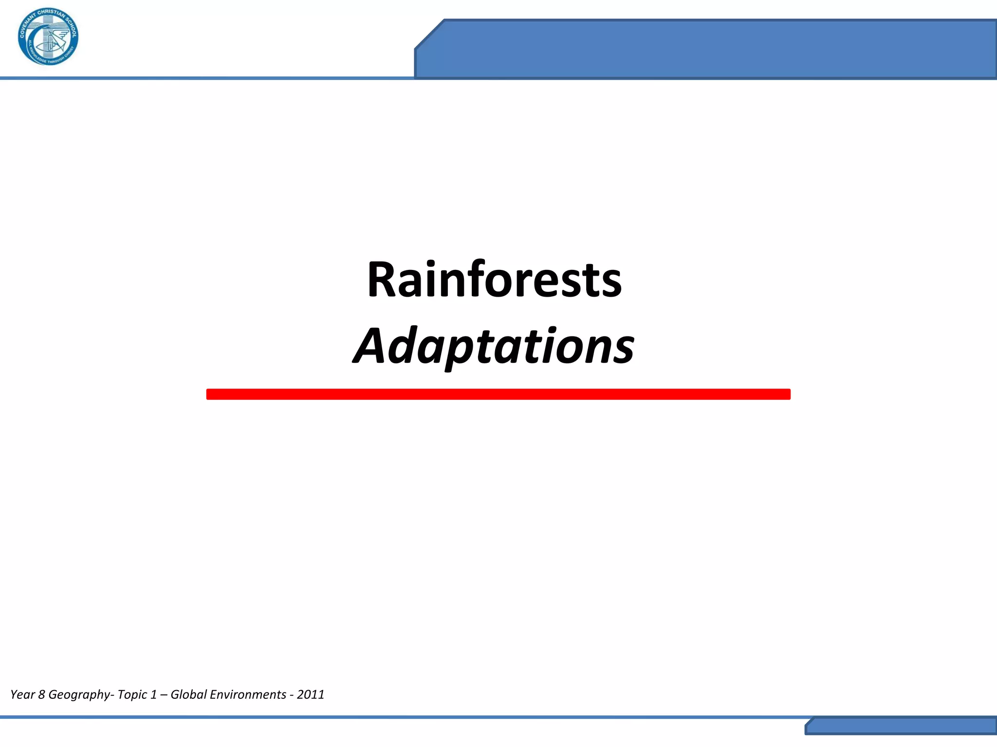 2011 year 8 geography - rainforests - adaptations | PDF