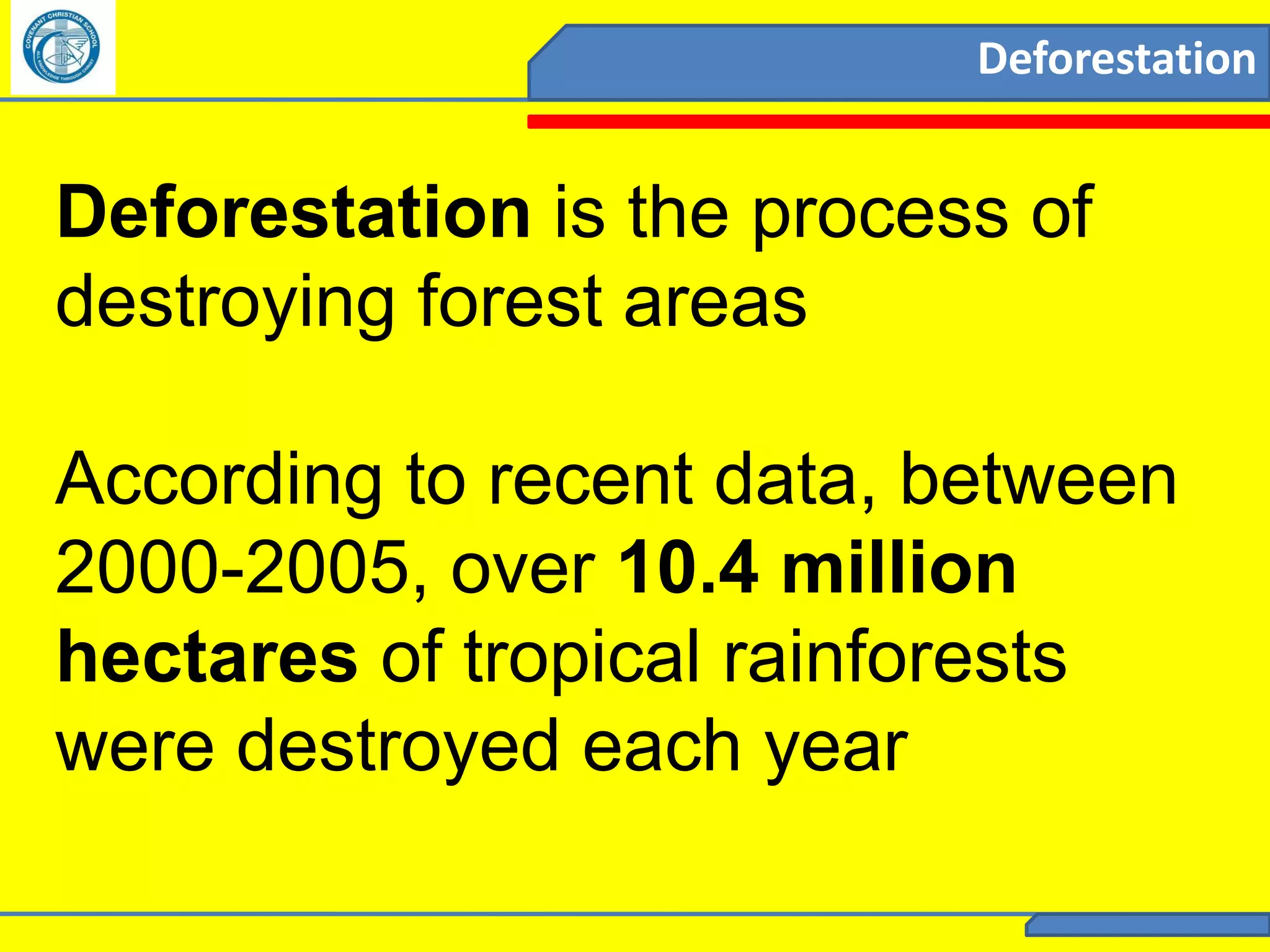 2011 year 8 geography - rainforests - deforestation | PDF