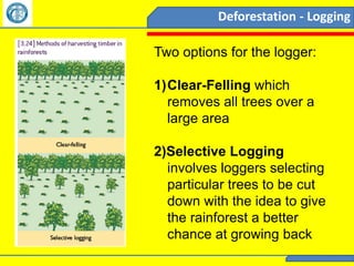 2011 year 8 geography - rainforests - deforestation | PDF