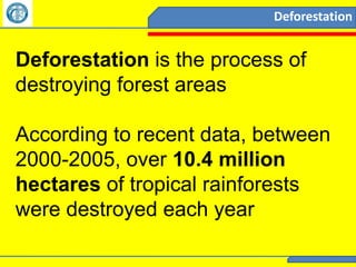2011 year 8 geography - rainforests - deforestation | PDF