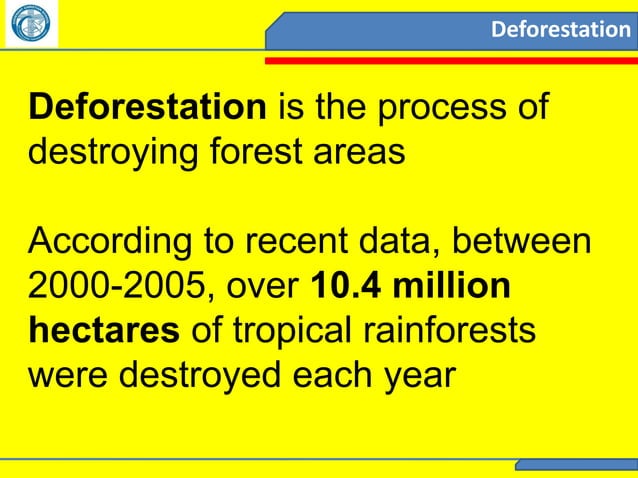 2011 year 8 geography - rainforests - deforestation | PDF | Environment | Science