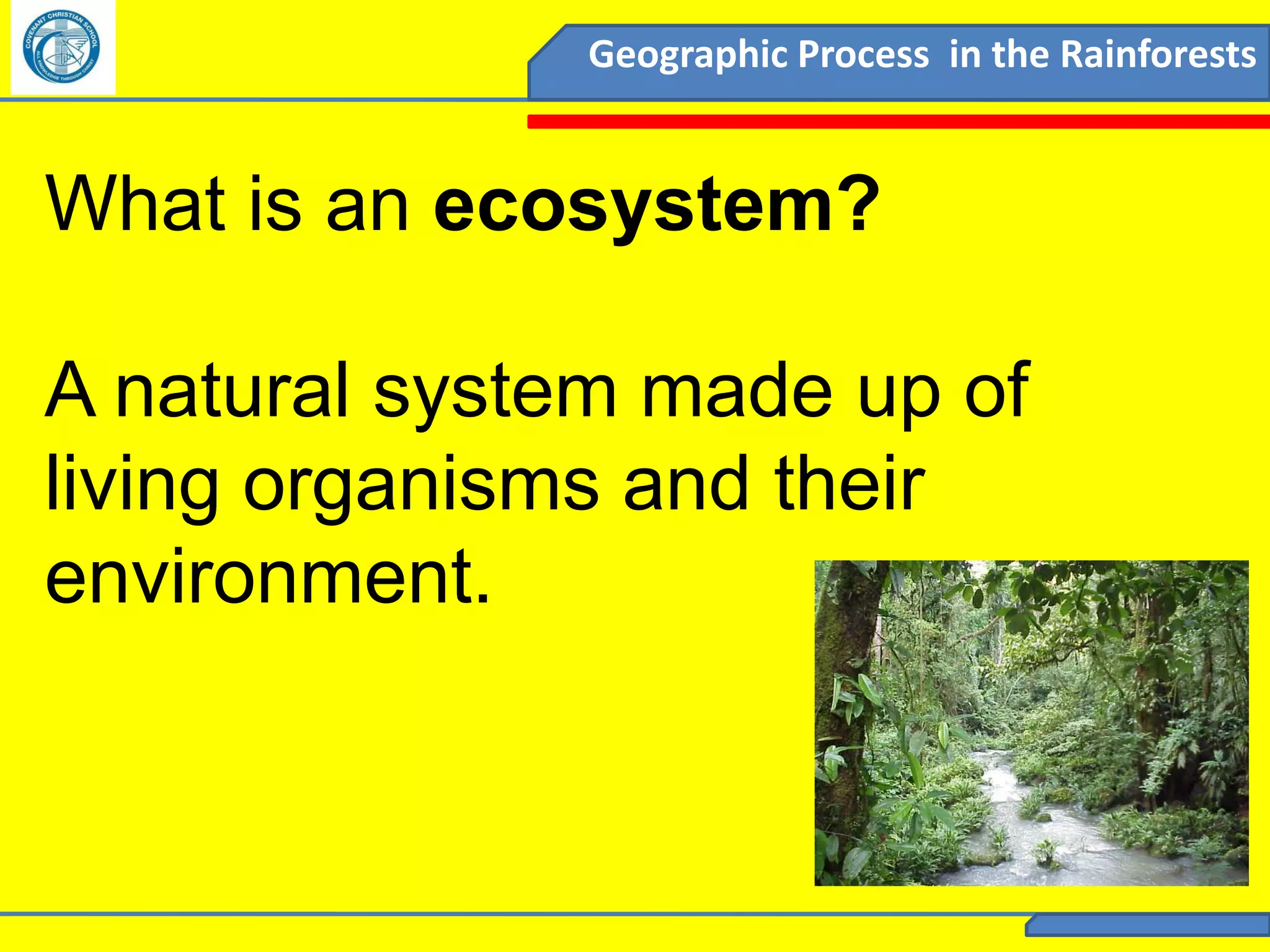 2011 year 8 geography - rainforests - geographic processes | PPT