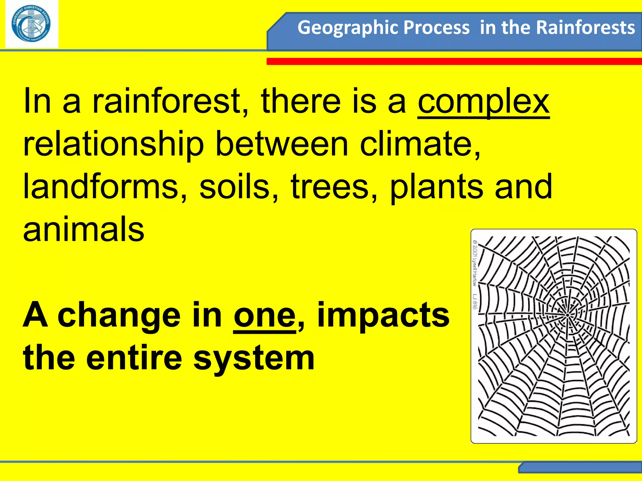 2011 year 8 geography - rainforests - geographic processes | PPT