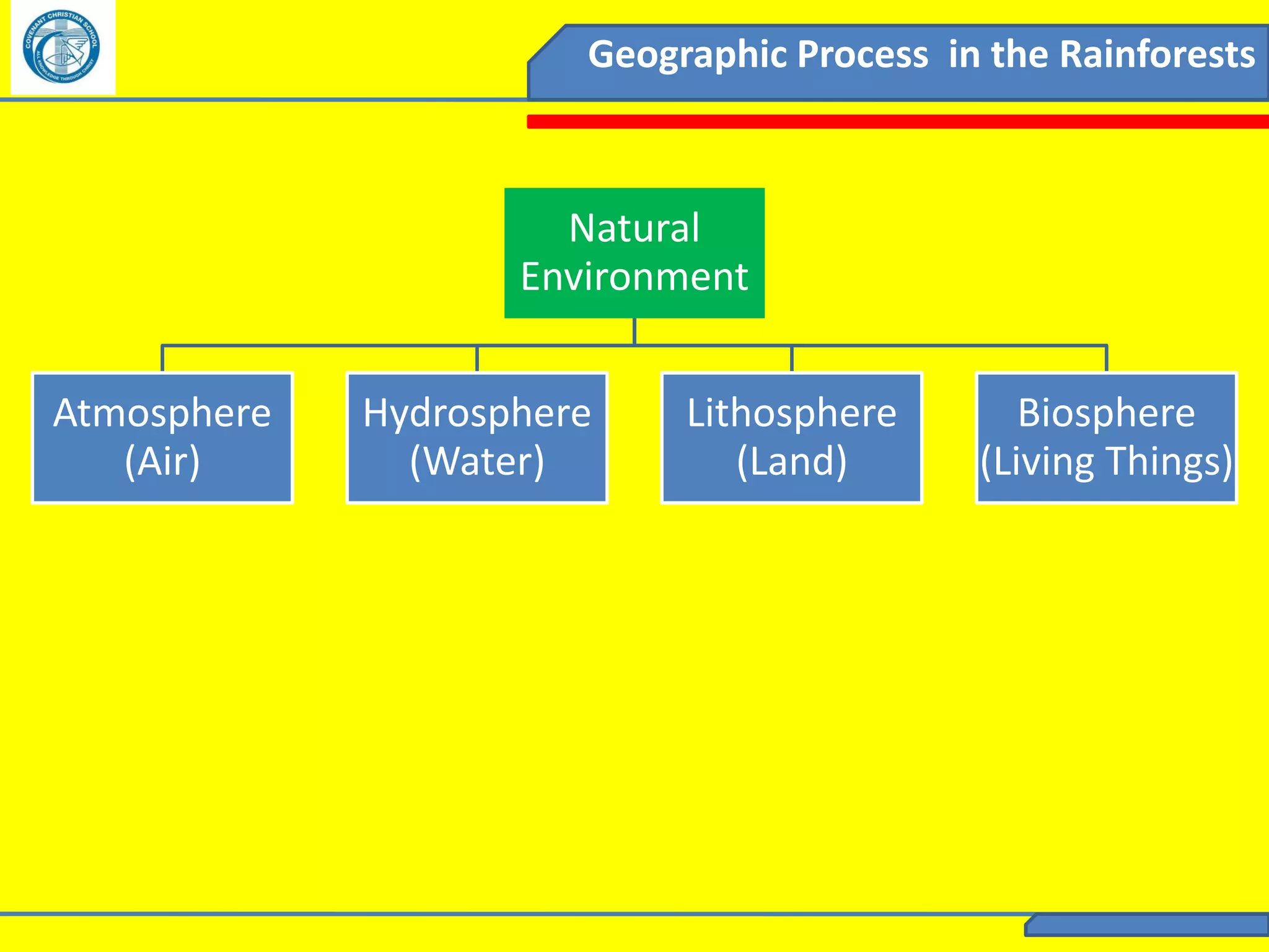 2011 year 8 geography - rainforests - geographic processes | PPT