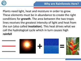 2011 year 8 geography - rainforests - geographic processes | PPT