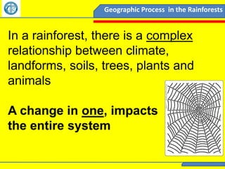 2011 year 8 geography - rainforests - geographic processes | PPT