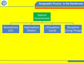 2011 year 8 geography - rainforests - geographic processes | PPT