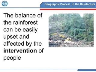 2011 year 8 geography - rainforests - geographic processes | PPT