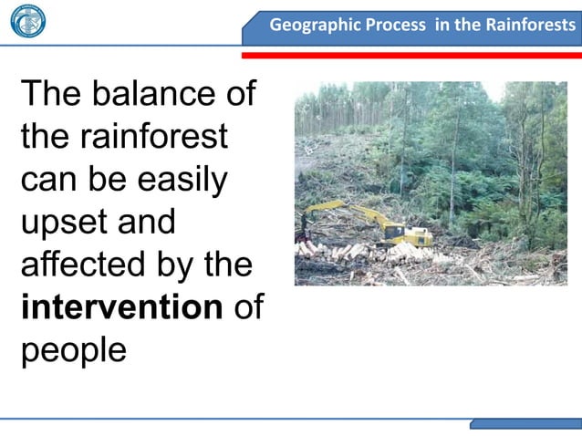 2011 year 8 geography - rainforests - geographic processes | PPT