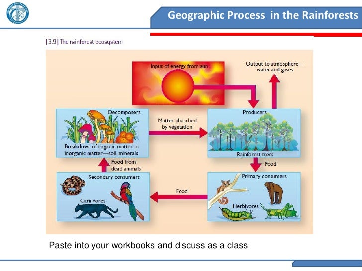 2011 year 8 geography - rainforests - geographic processes