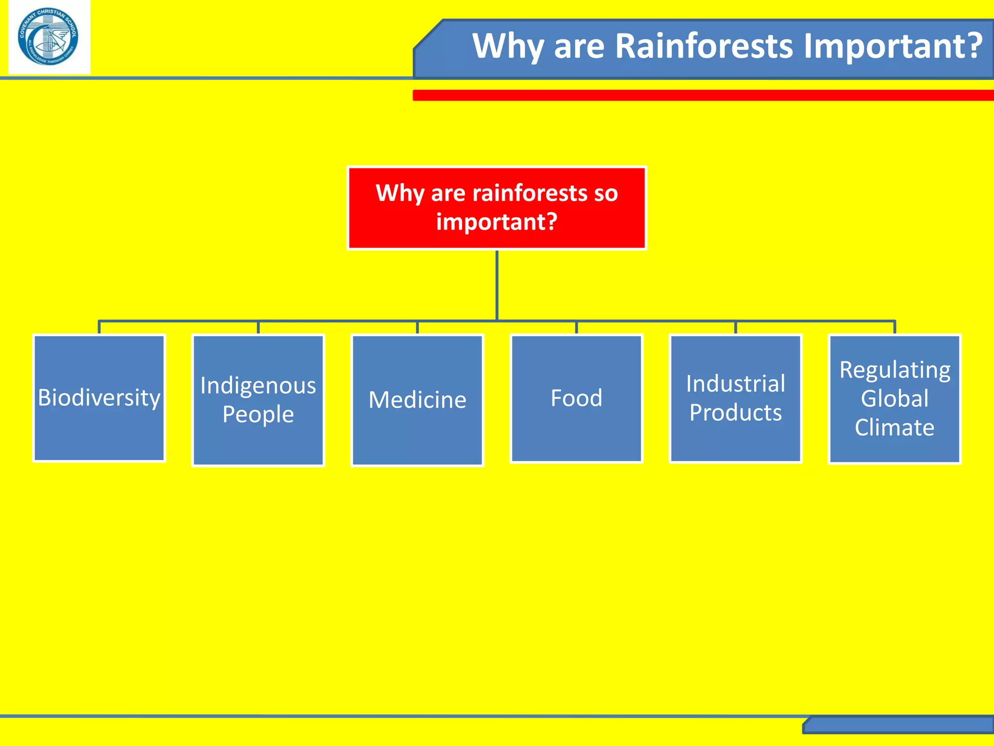 2011 year 8 geography - rainforests - importance | PDF