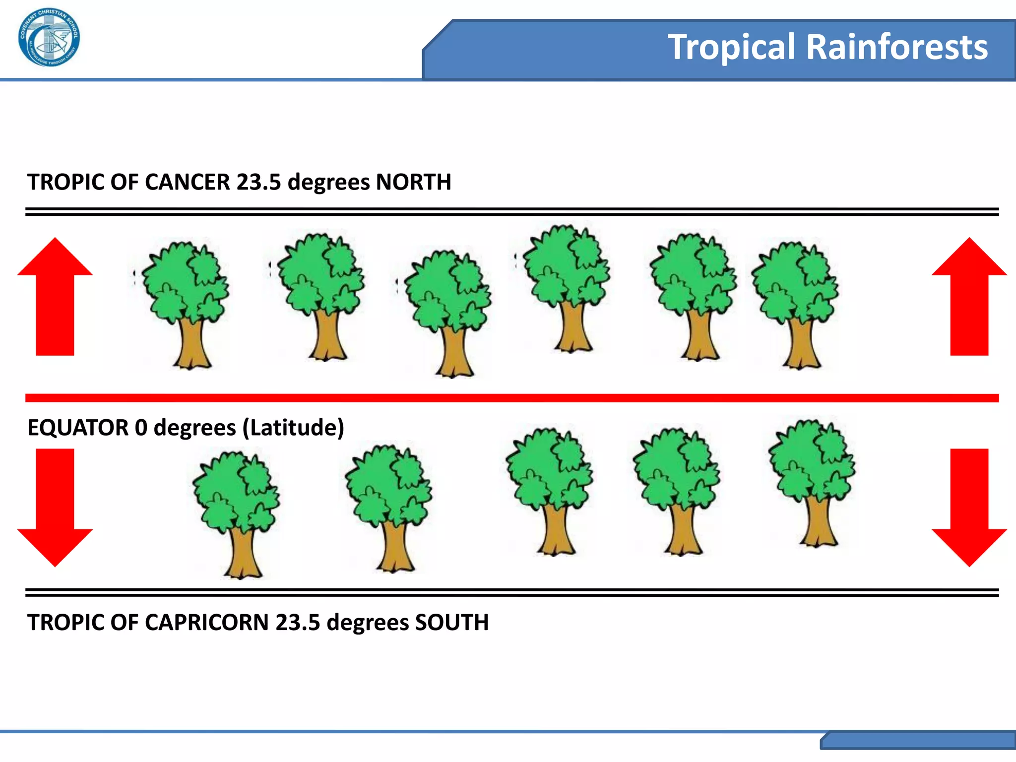2011 year 8 geography - rainforests - introduction | PPT