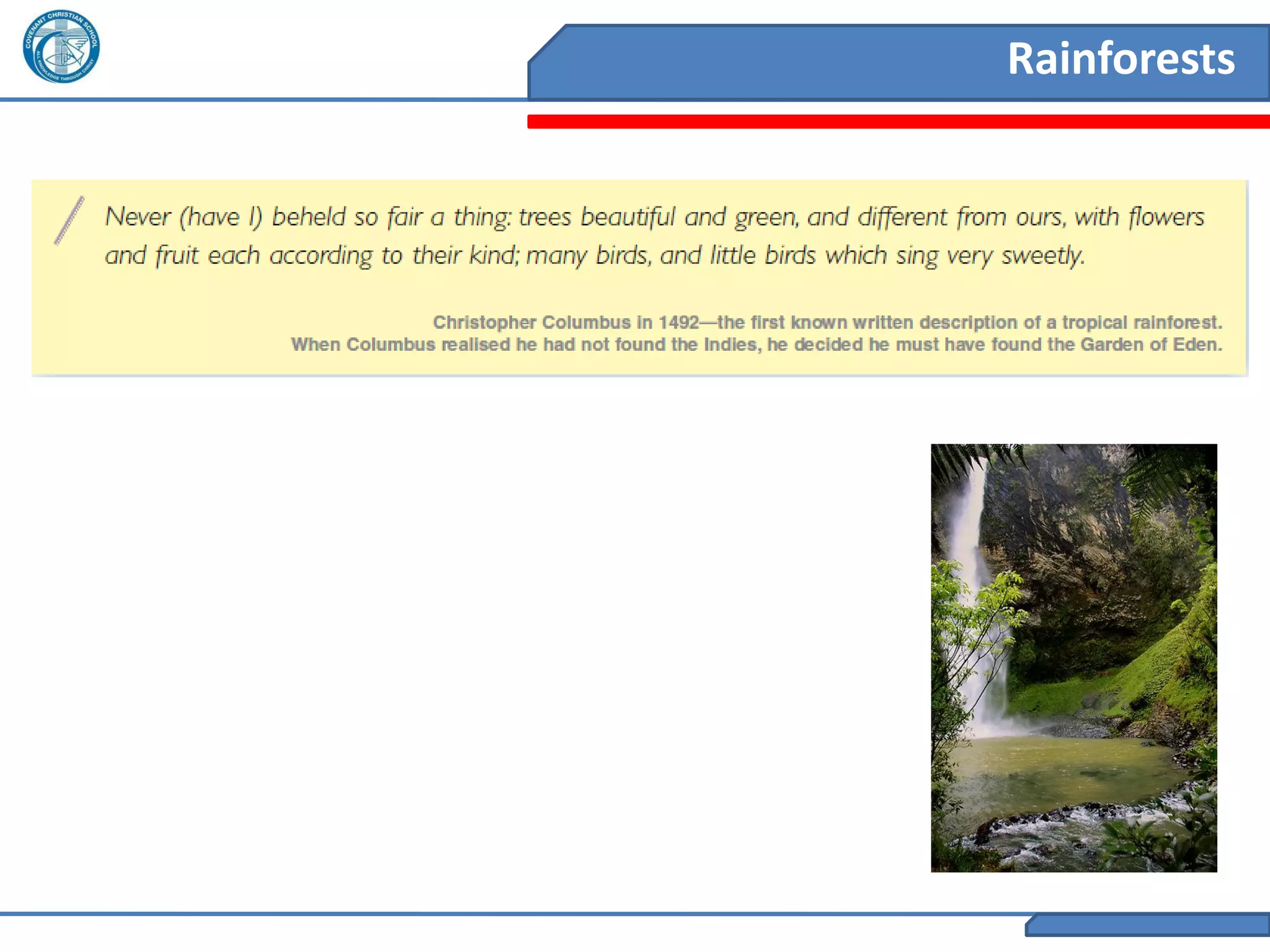 2011 year 8 geography - rainforests - introduction | PPT