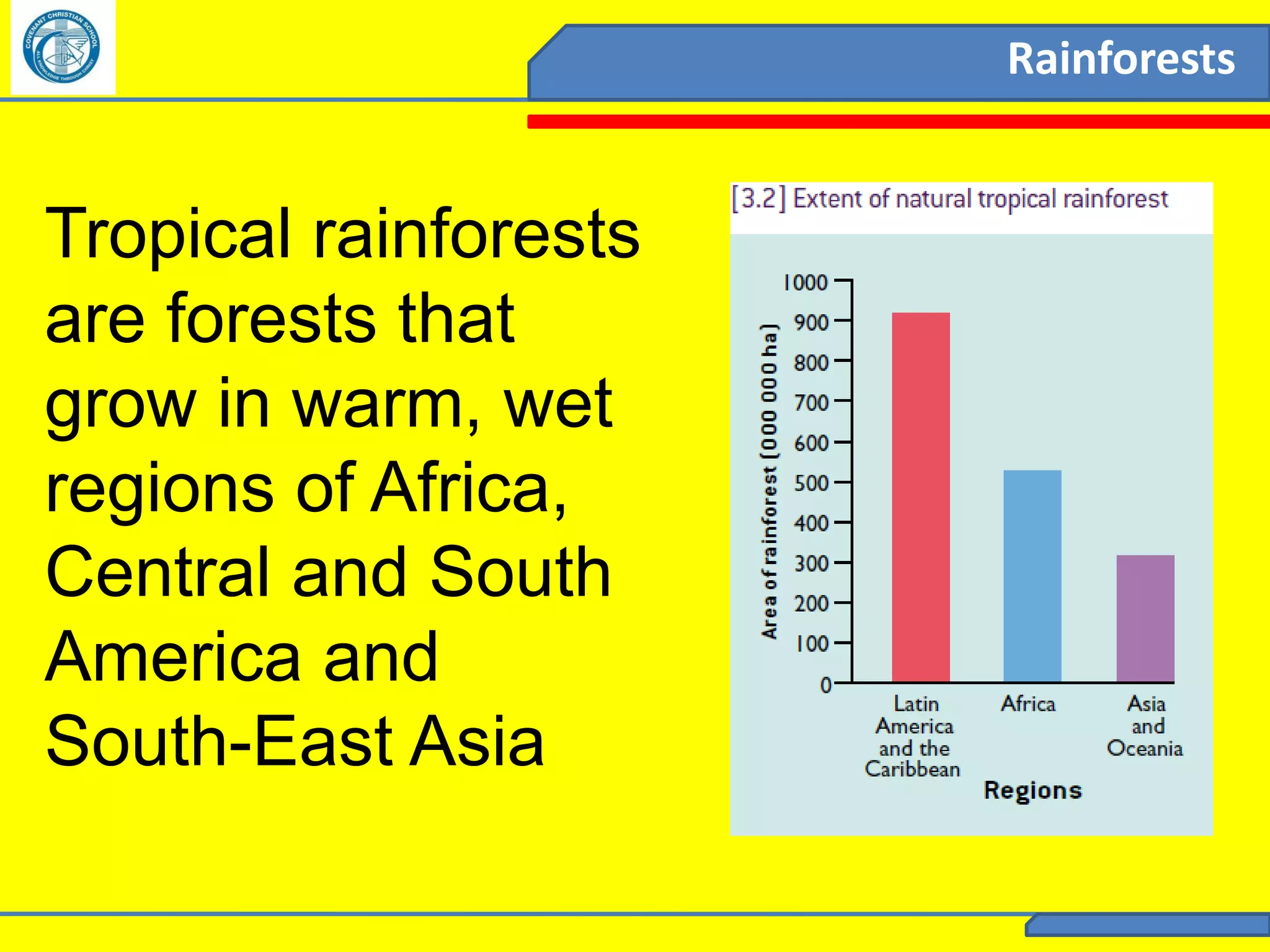 2011 year 8 geography - rainforests - introduction | PPT