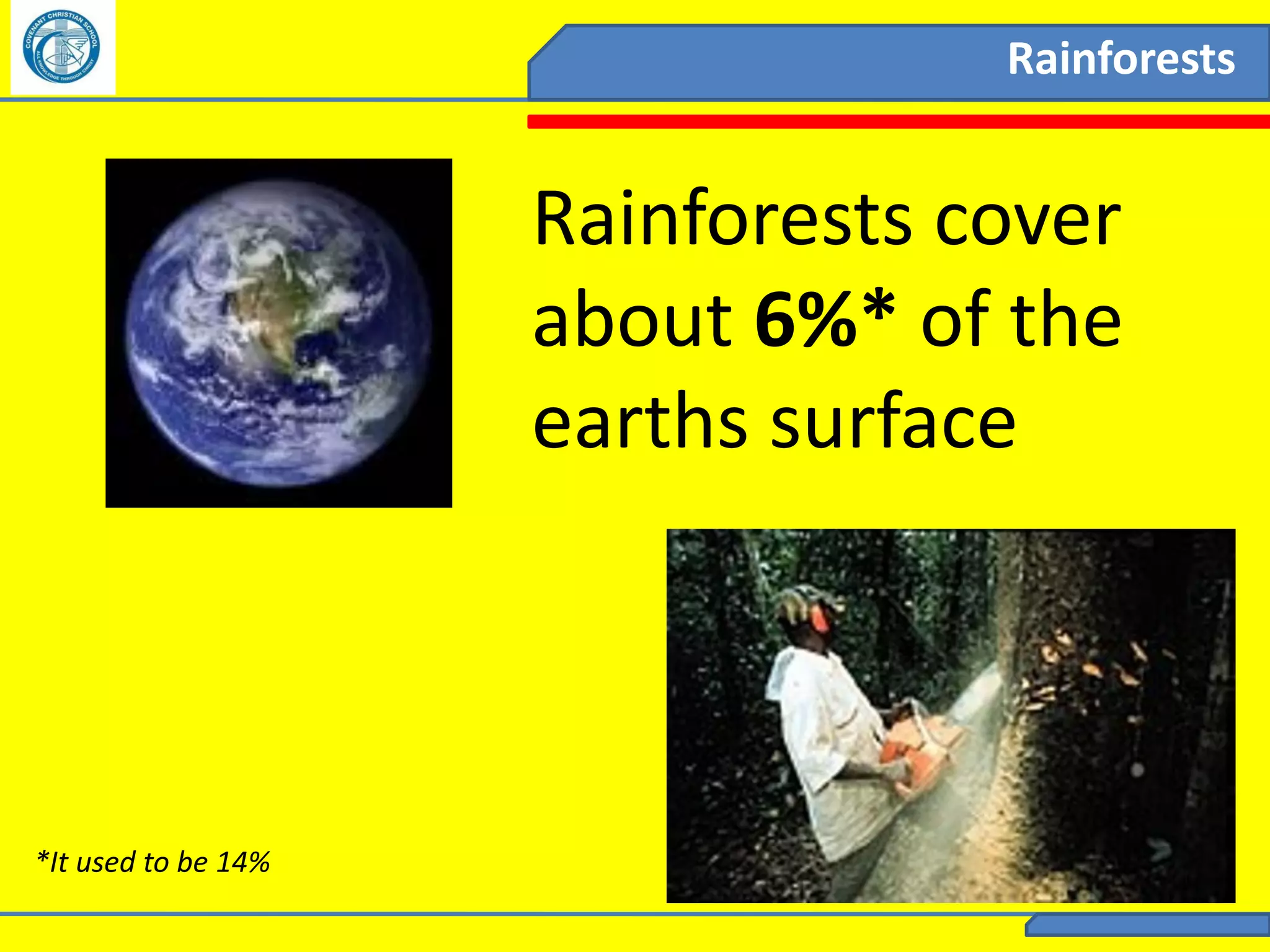 2011 year 8 geography - rainforests - introduction | PPT