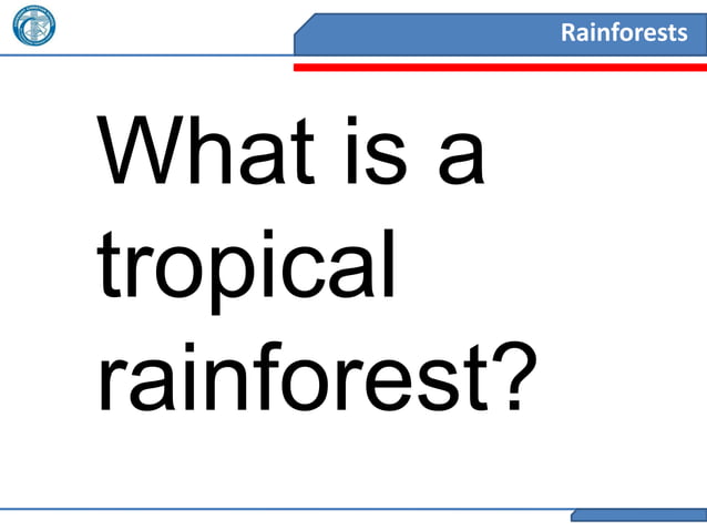2011 year 8 geography - rainforests - introduction | PPT