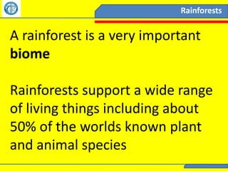 2011 year 8 geography - rainforests - introduction | PPT