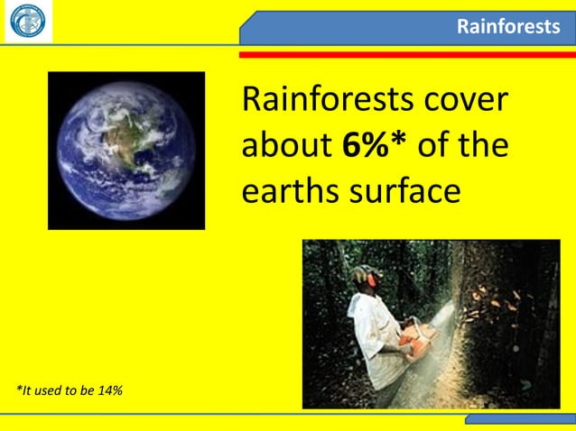 2011 year 8 geography - rainforests - introduction | PPT