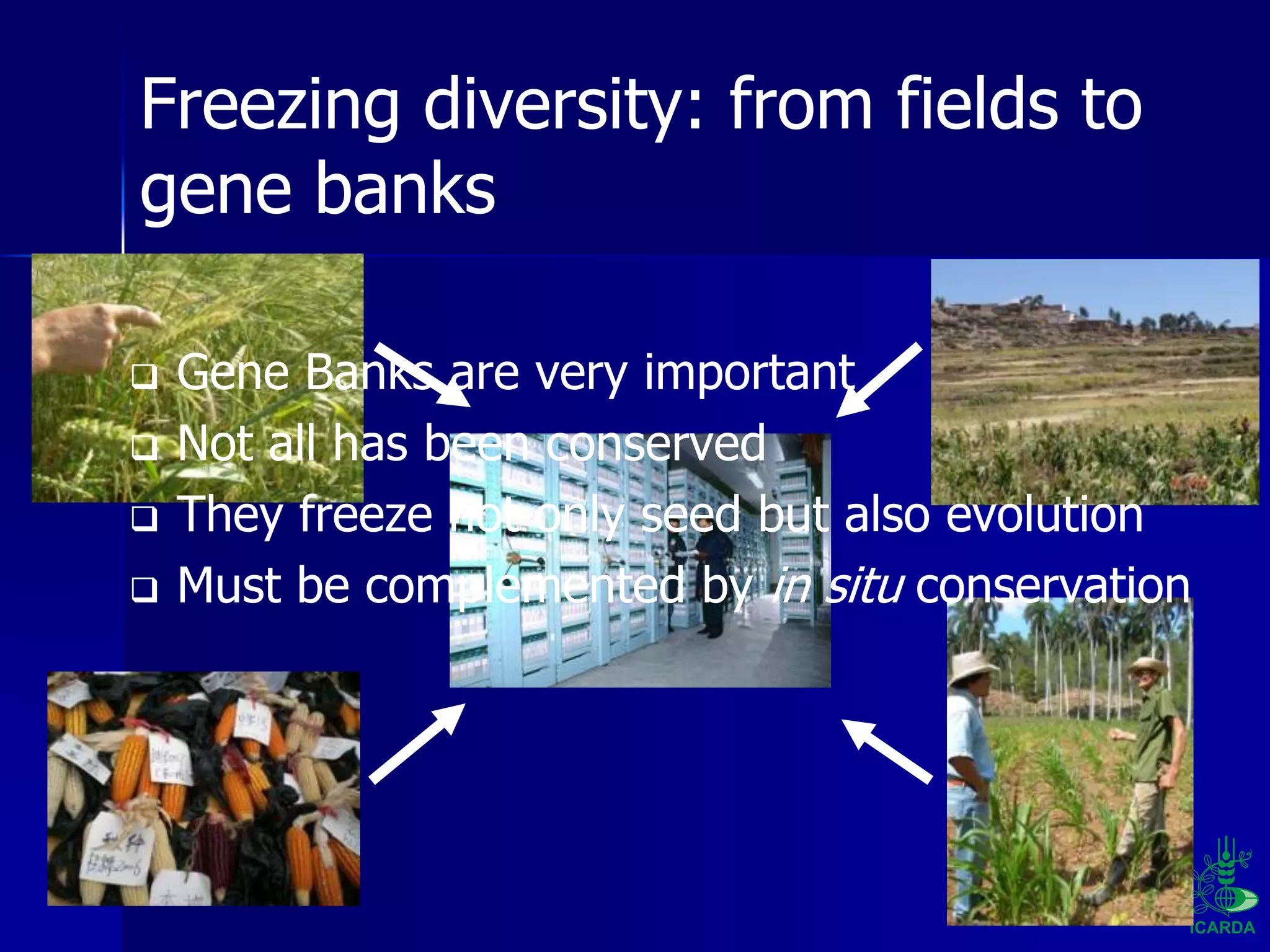 Participatory Plant Breeding, Biodiversity, Genetic Resources, Gender ...