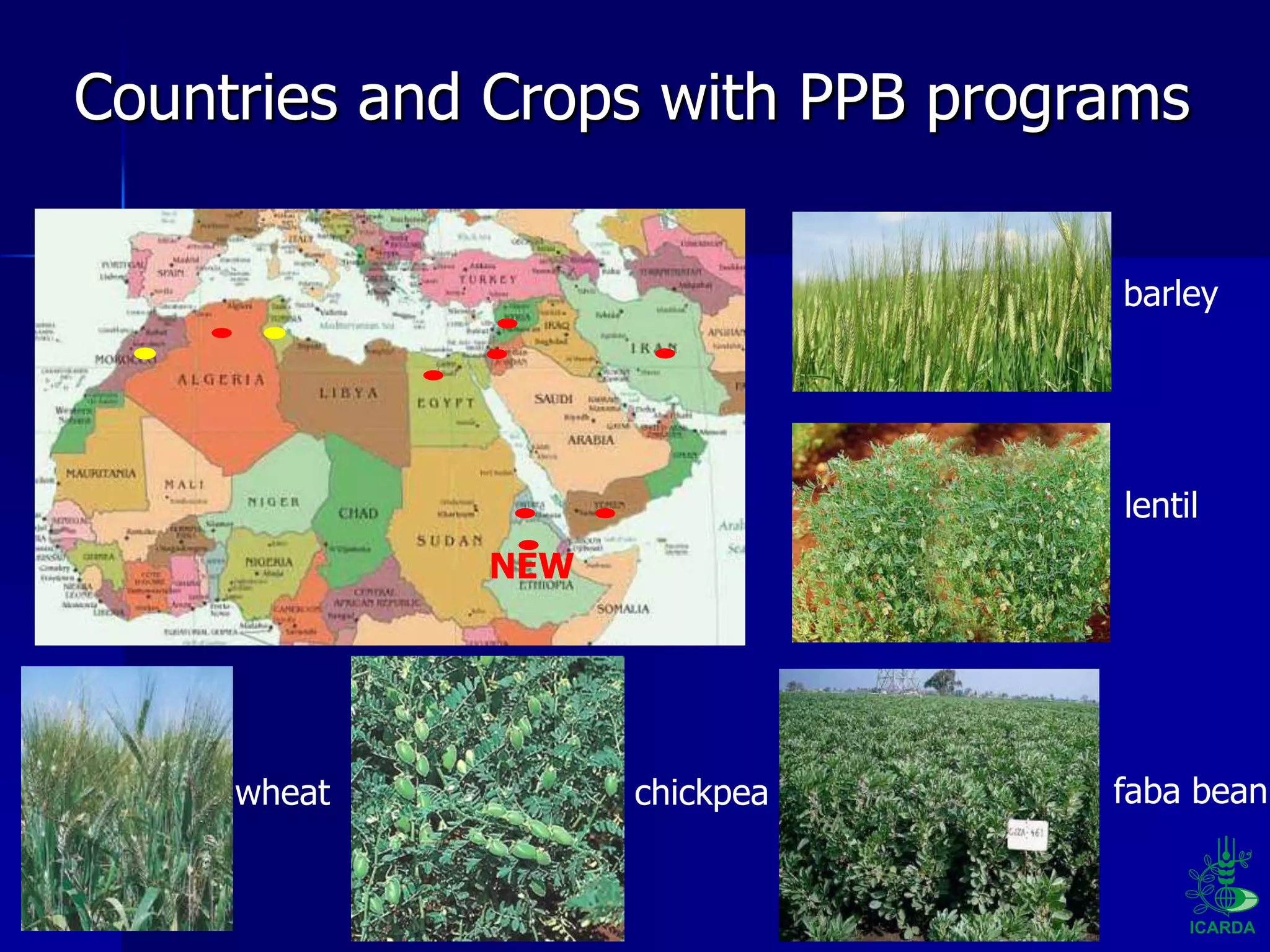Participatory Plant Breeding, Biodiversity, Genetic Resources, Gender ...