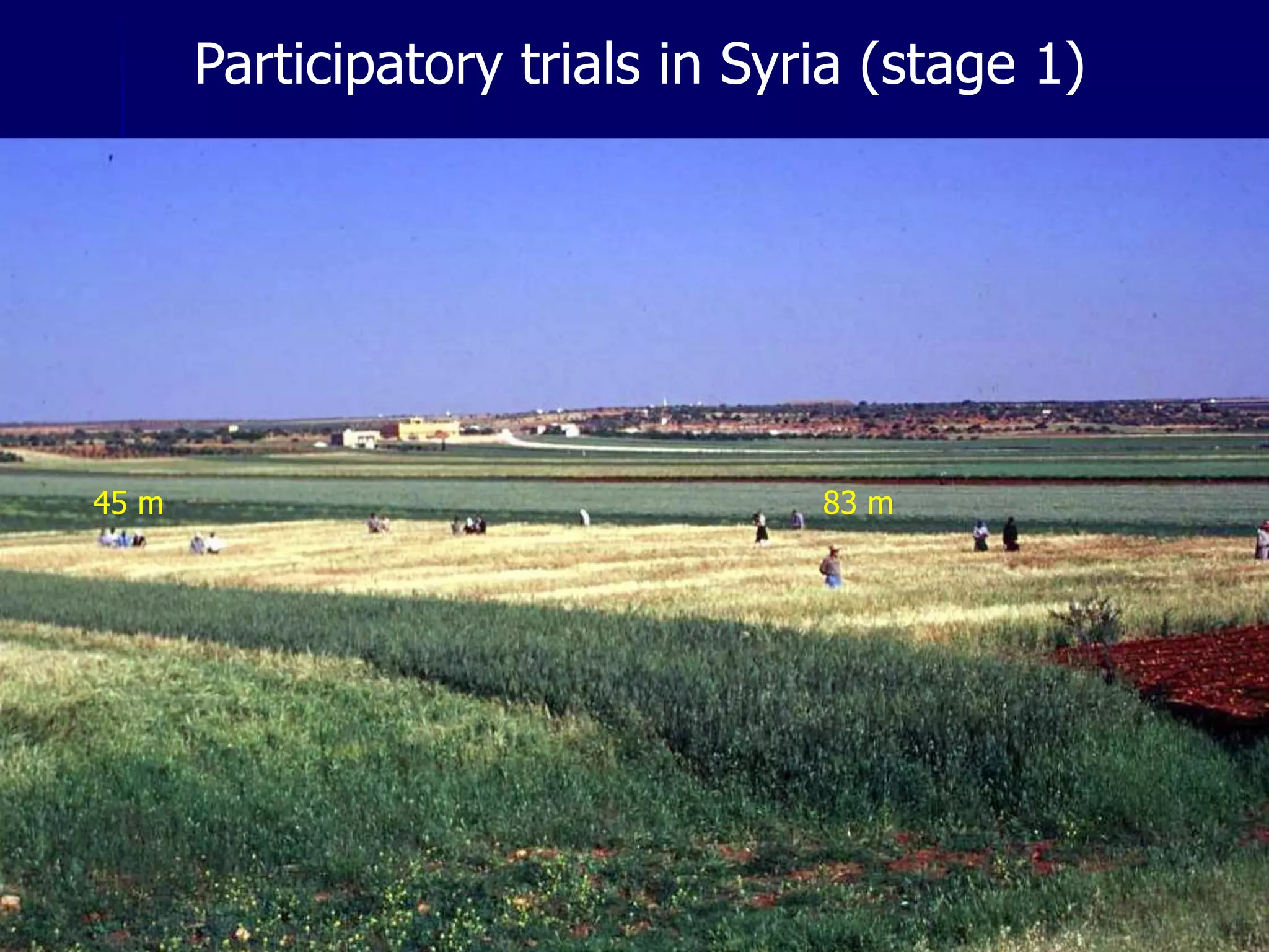 Participatory Plant Breeding, Biodiversity, Genetic Resources, Gender ...