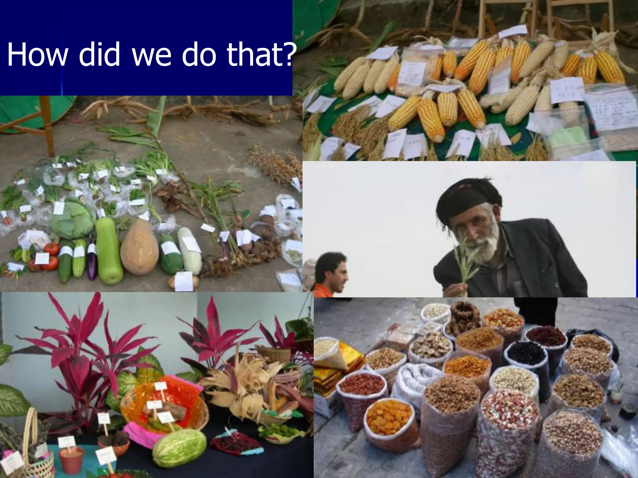 Participatory Plant Breeding, Biodiversity, Genetic Resources, Gender ...