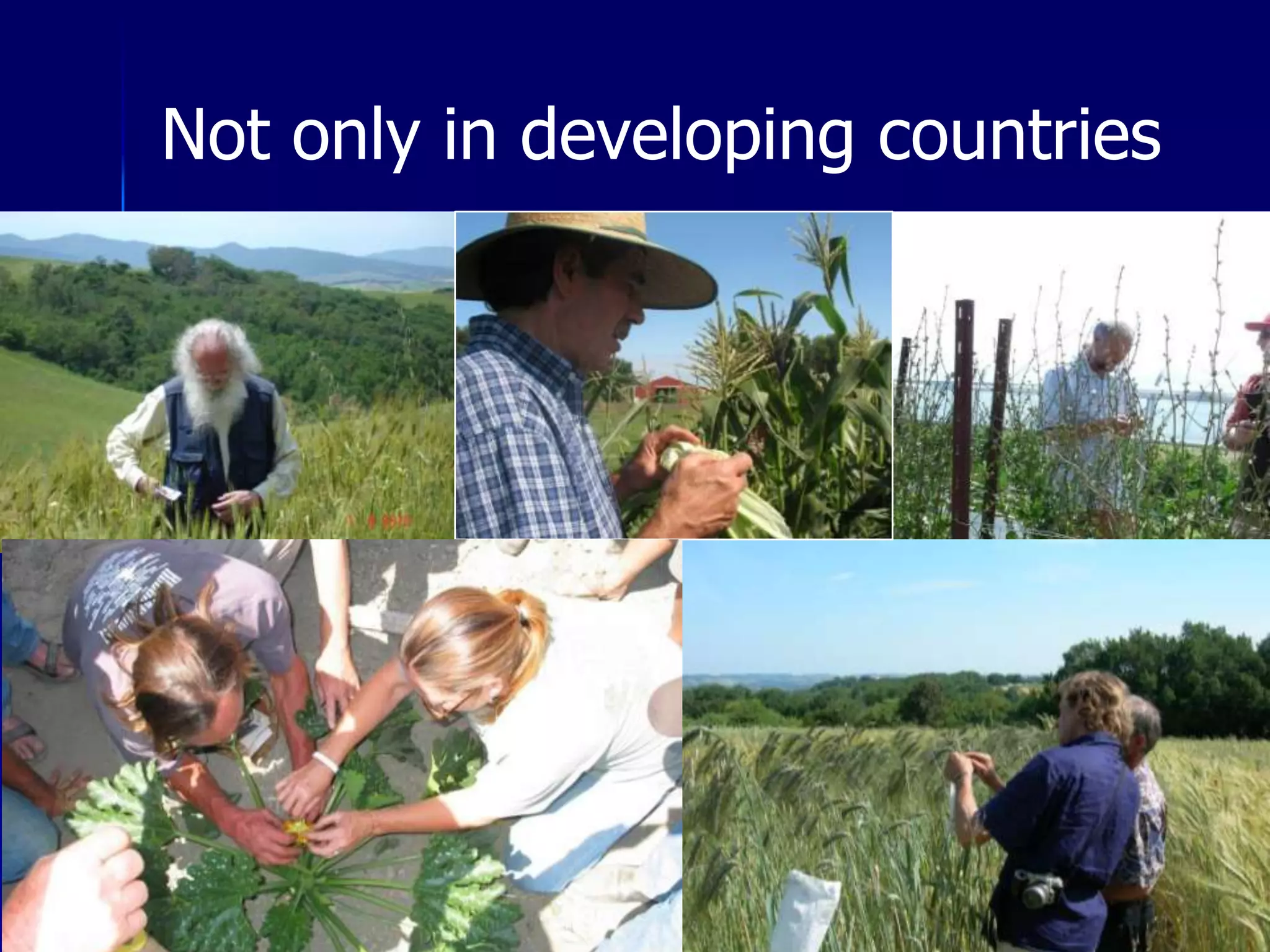 Participatory Plant Breeding, Biodiversity, Genetic Resources, Gender ...