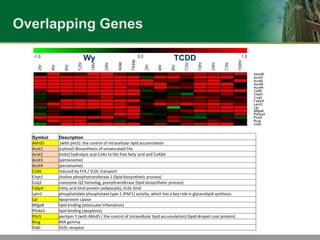 Fatty Acid metabolism genes in NAFLD.pptx