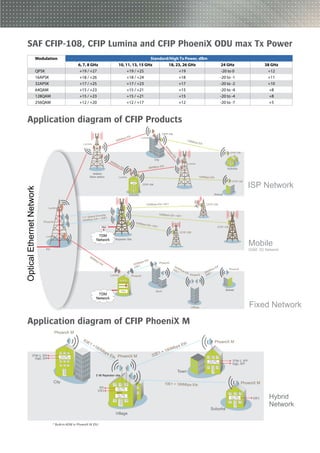 20110224 saf cfip_brochure_en | PDF