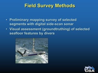 Imagery Interpretation for Coastal and Marine Spatial Planning | PDF