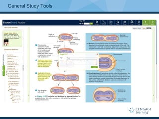 The New Textbook: Moving Beyond Paper | PPTX