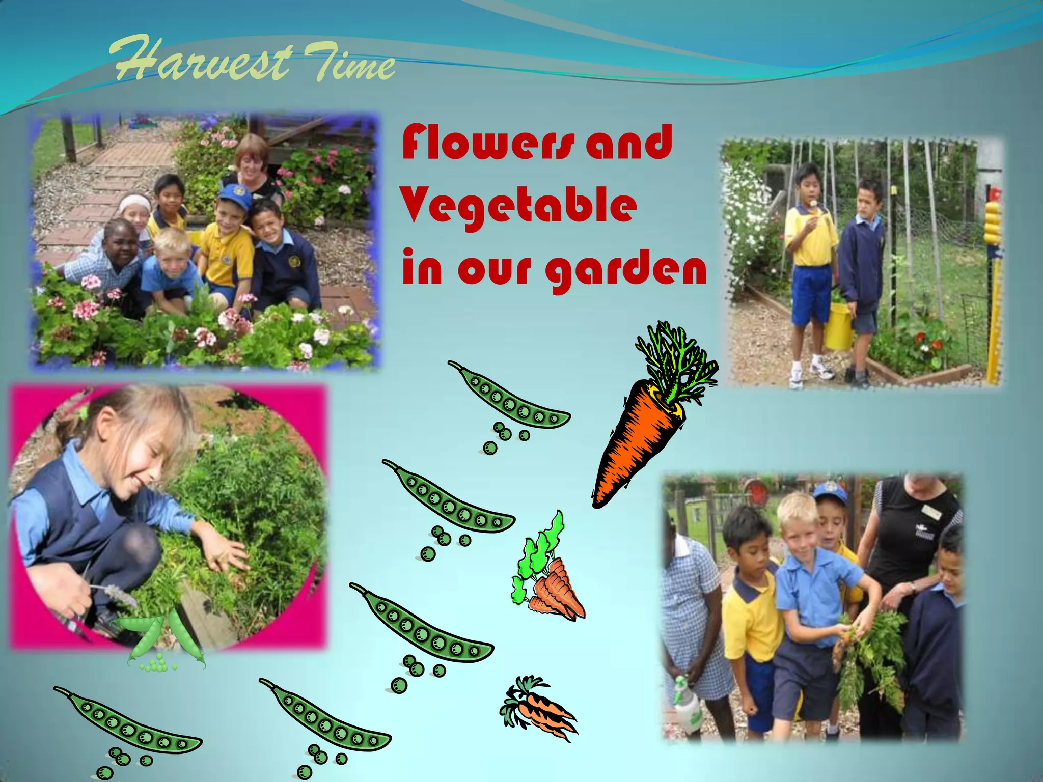 NCKG Graduations | PPT