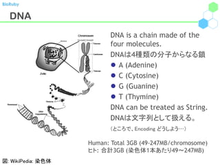 BioRuby -- Bioinformatics Library | PPT | Free Download