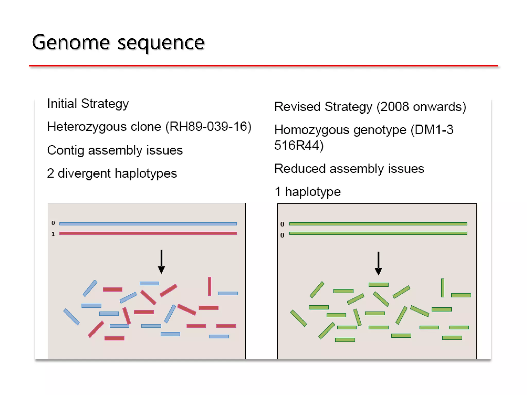 Potato genome sequence paper | PDF
