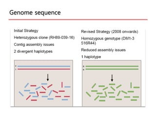 Potato genome sequence paper | PDF