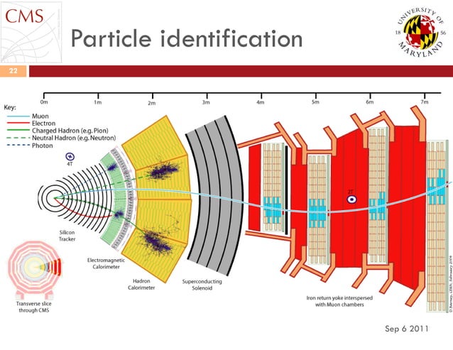 Using Machine Learning to Measure the Cross Section of Top Quark Pairs ...