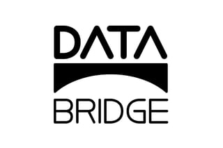 DataBridge findings & recommendations | PPT