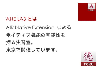 第1回 AIR Native Extension Lab 研究報告会 | PPT