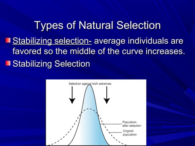 2011 15 ppt evolution and natural selection