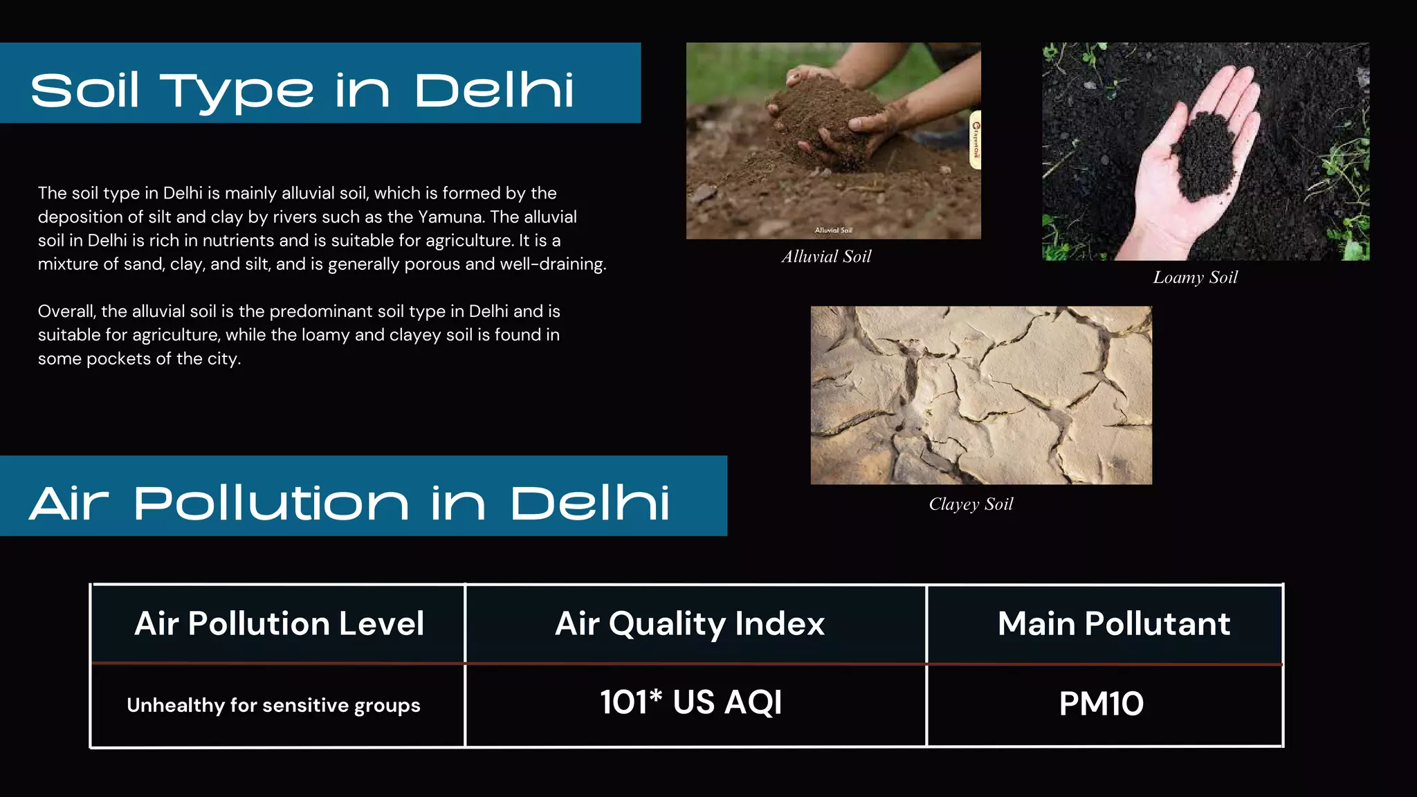 SPA, Delhi Case Study | PDF