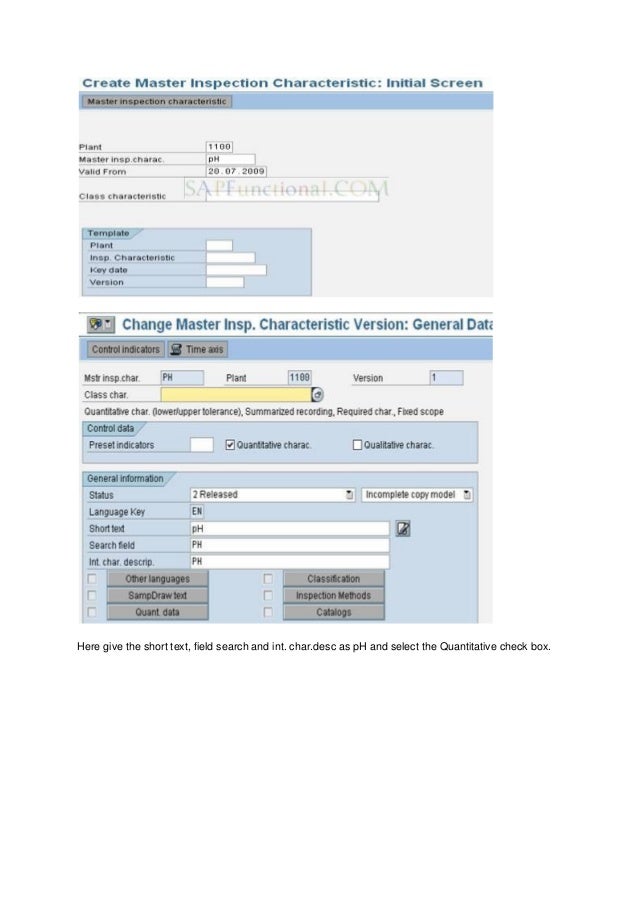 201124772 sap-pp-pi-process-flow-docs