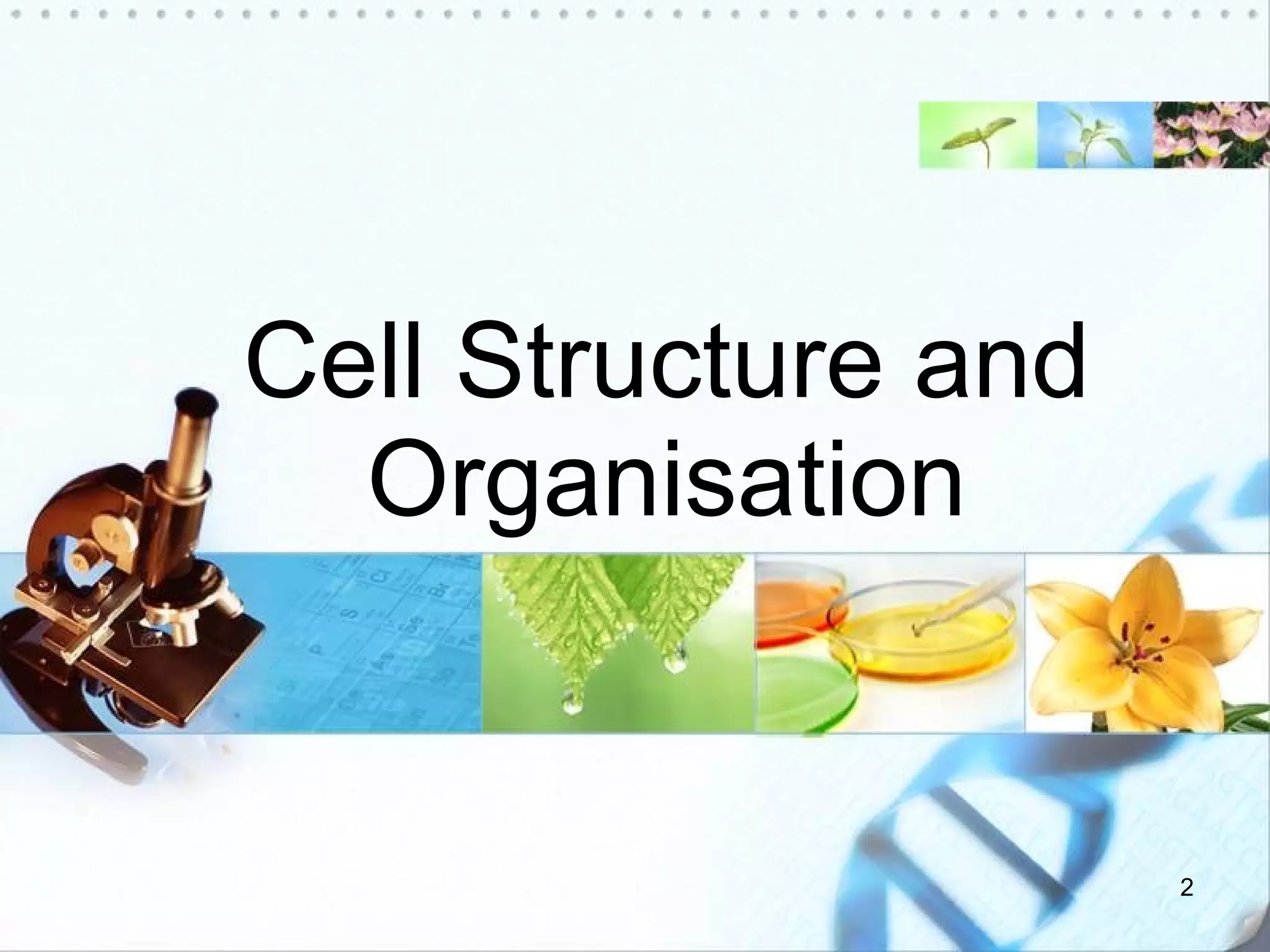 Cell Structure and Organisation | PPT