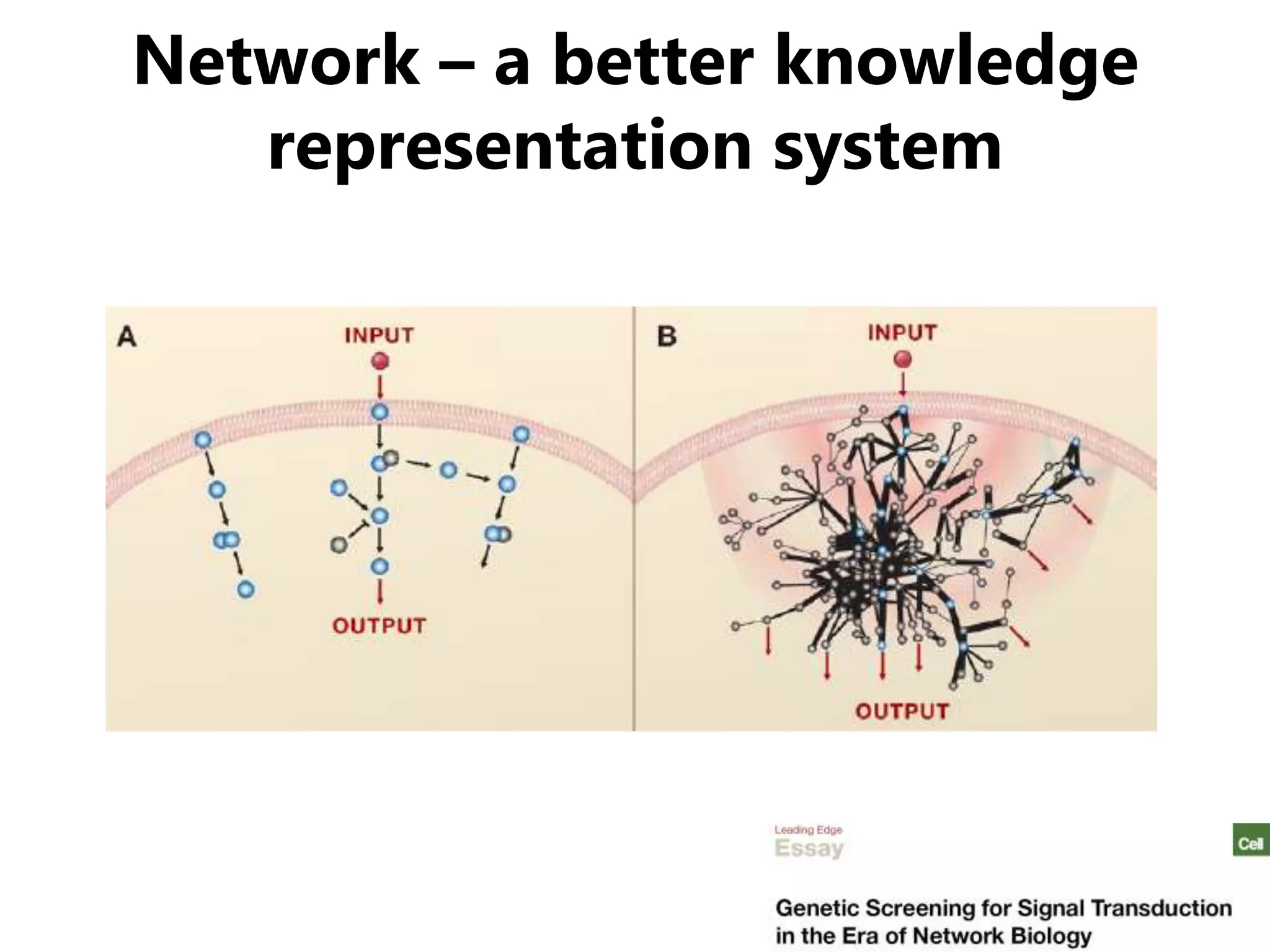 Multi-scale network biology model & the model library | PDF